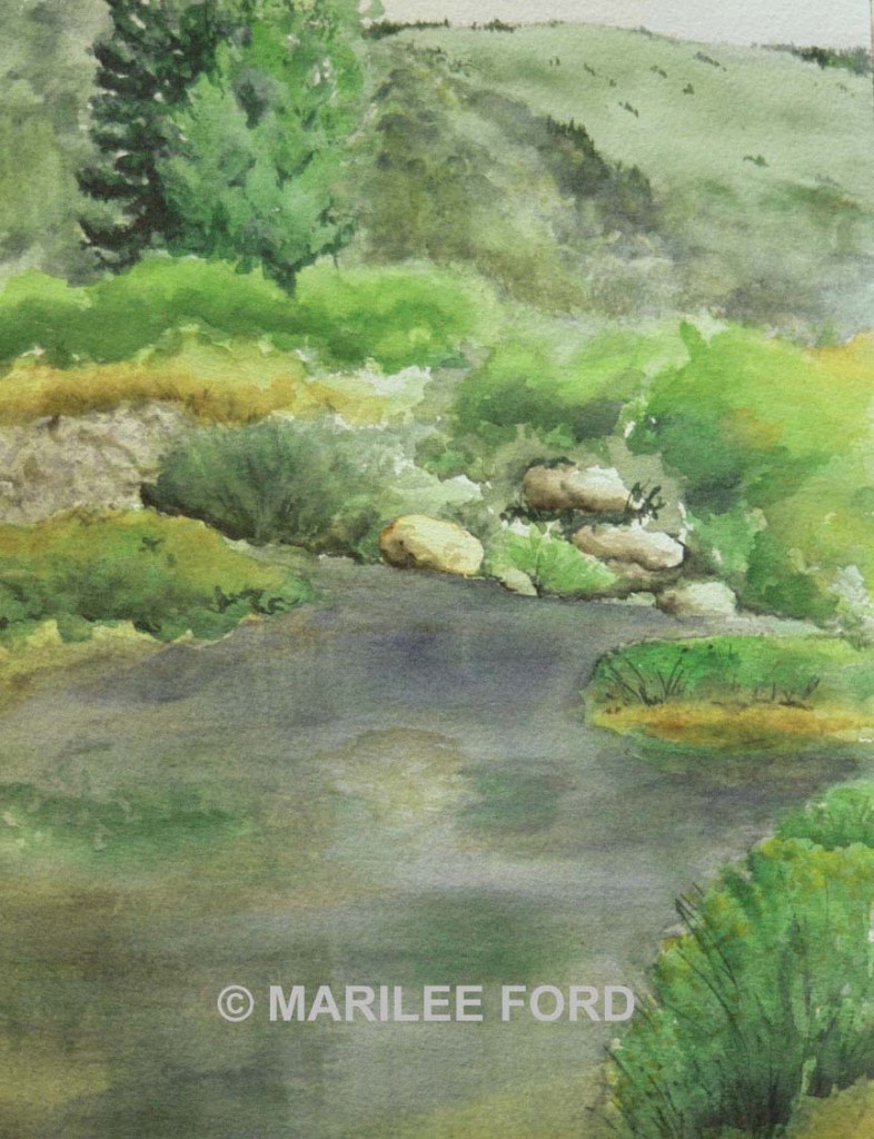 Marilee Ford – Northern California watercolor, oil and multi-media artist.